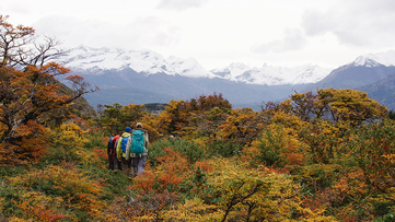 Aventura en La Barrosa | Excursiones, tours y precios